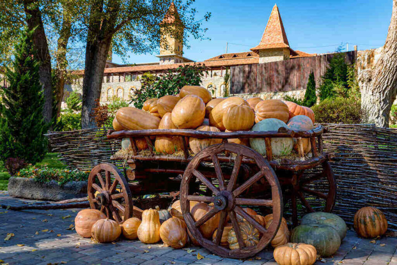 8 Fun Driveway Decorating Ideas To Spook Up Your Halloween